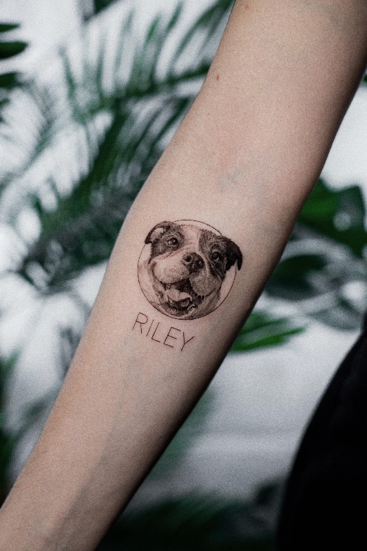 Pitbull Singer Arm Tattoos